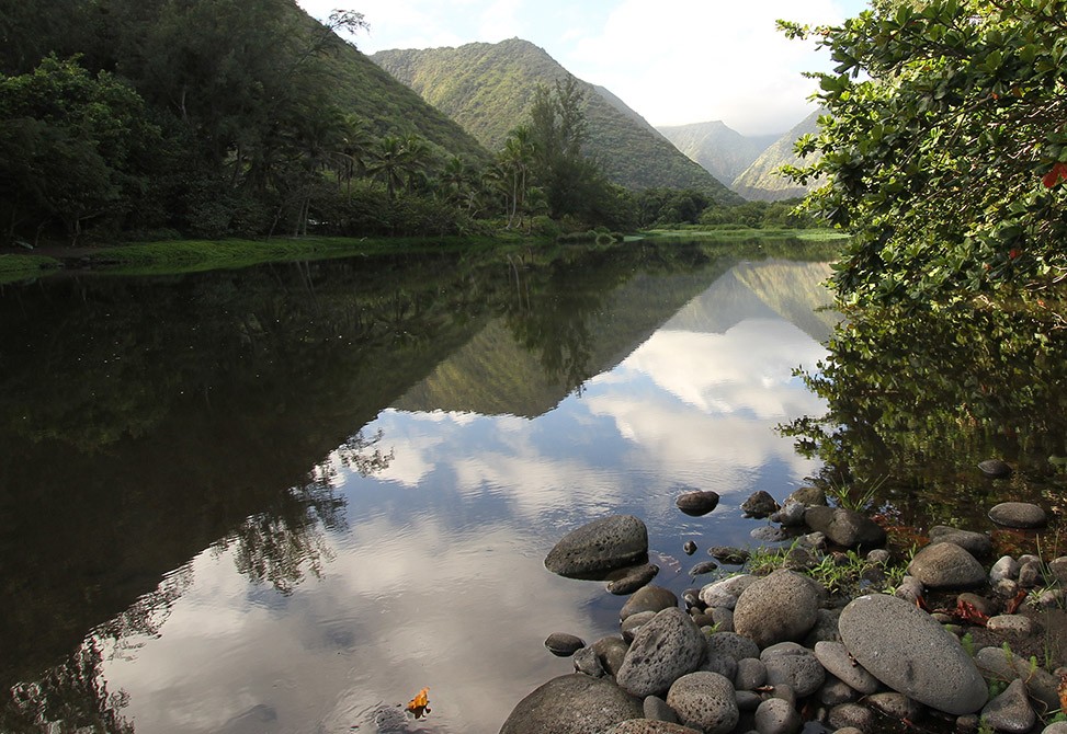 Waipio River Reflections – Tina Clothier Photography